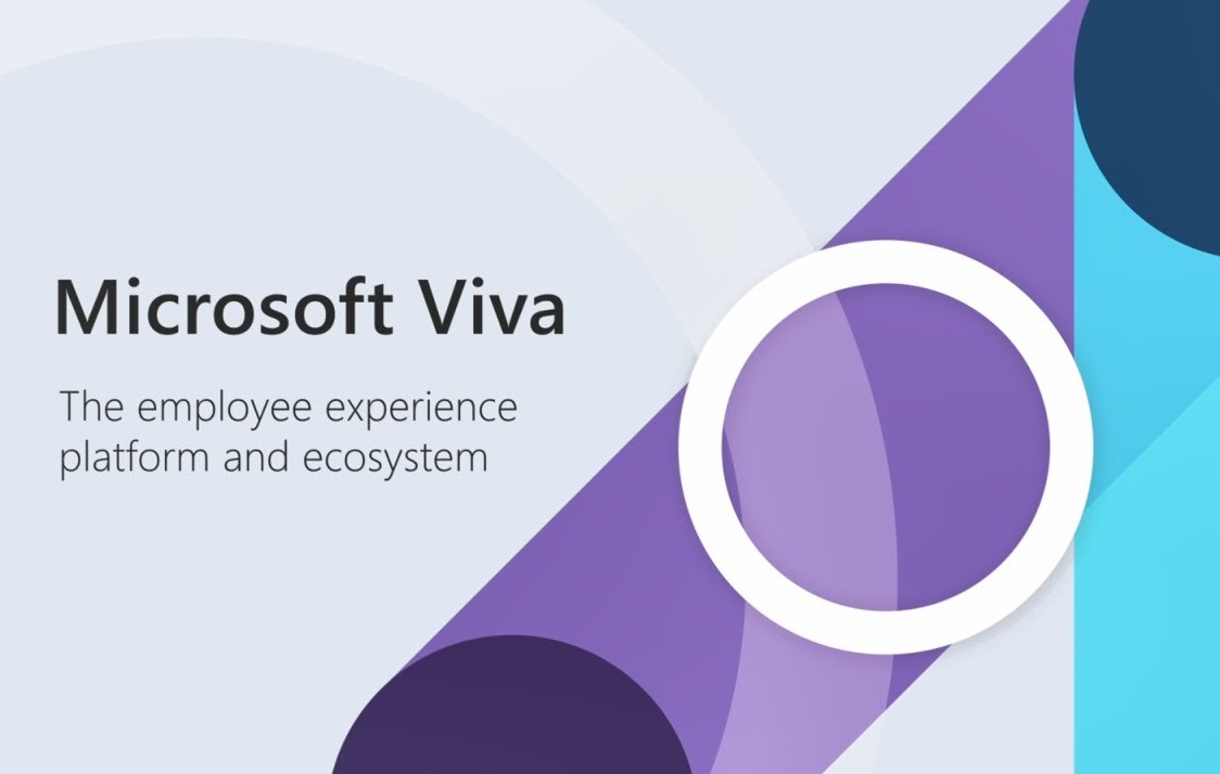 What to find in Microsoft Viva - an employee experience platform that ...